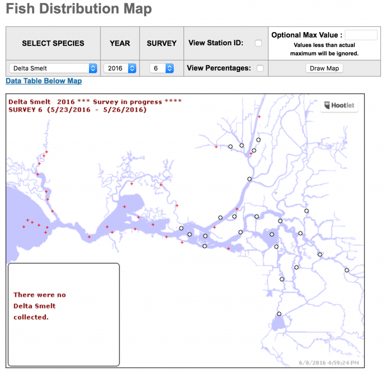 VIDEO: Other Stressors, Not Pumps, Leading to Delta Smelt Decline ...