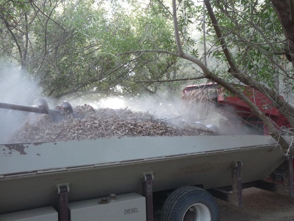 Nut Harvest Safety Highlights - California Agriculture News Today