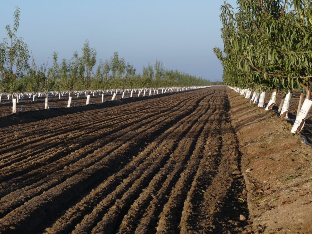 Understanding Purpose Of CV SALTS Program California Agriculture News understanding-purpose-of-cv-salts-program-california-agriculture-news