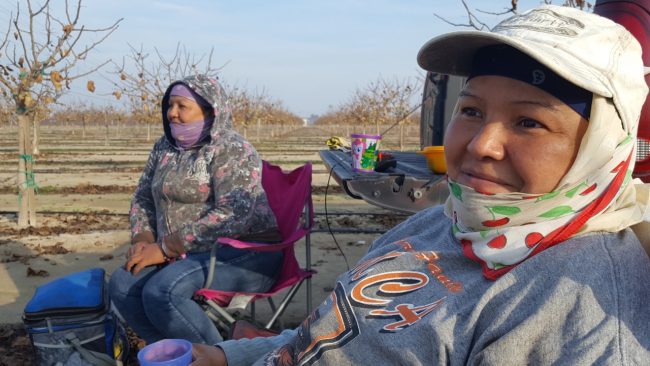 Ag Unite Addresses Critical Ag Issues - California Agriculture News Today