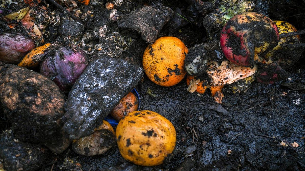 Converting Food Waste Into Energy - California Agriculture News Today